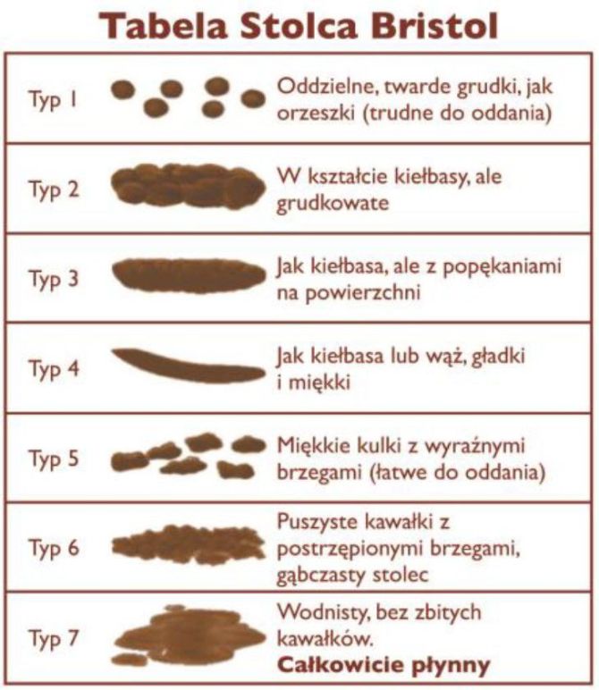 Co mówi kupa o zdrowiu? Znaczenie kształtu, koloru, konsystencji i zapachu!