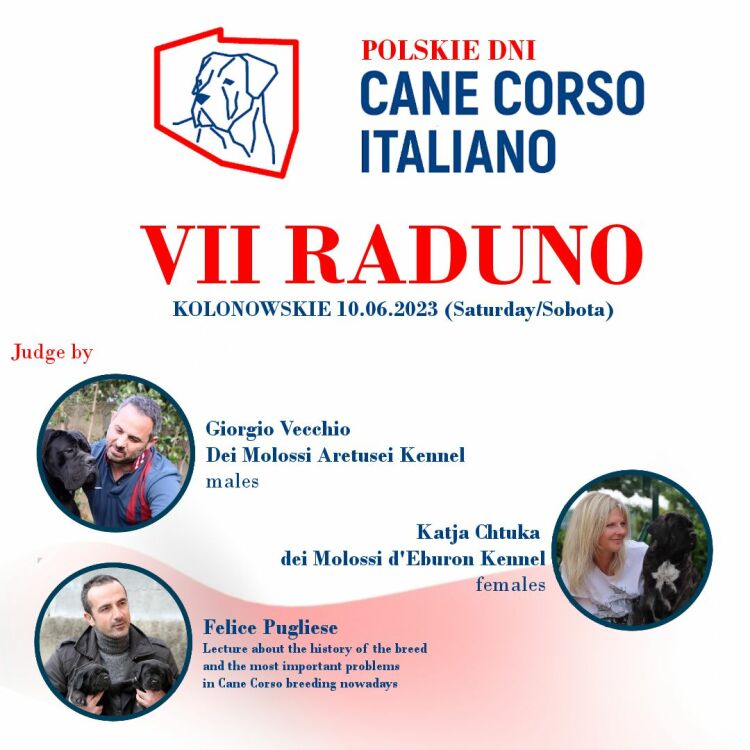 Polskie Dni Cane Corso Italiano - Patronite.pl